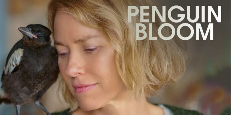 Guarda Penguin Bloom su MioCinema!